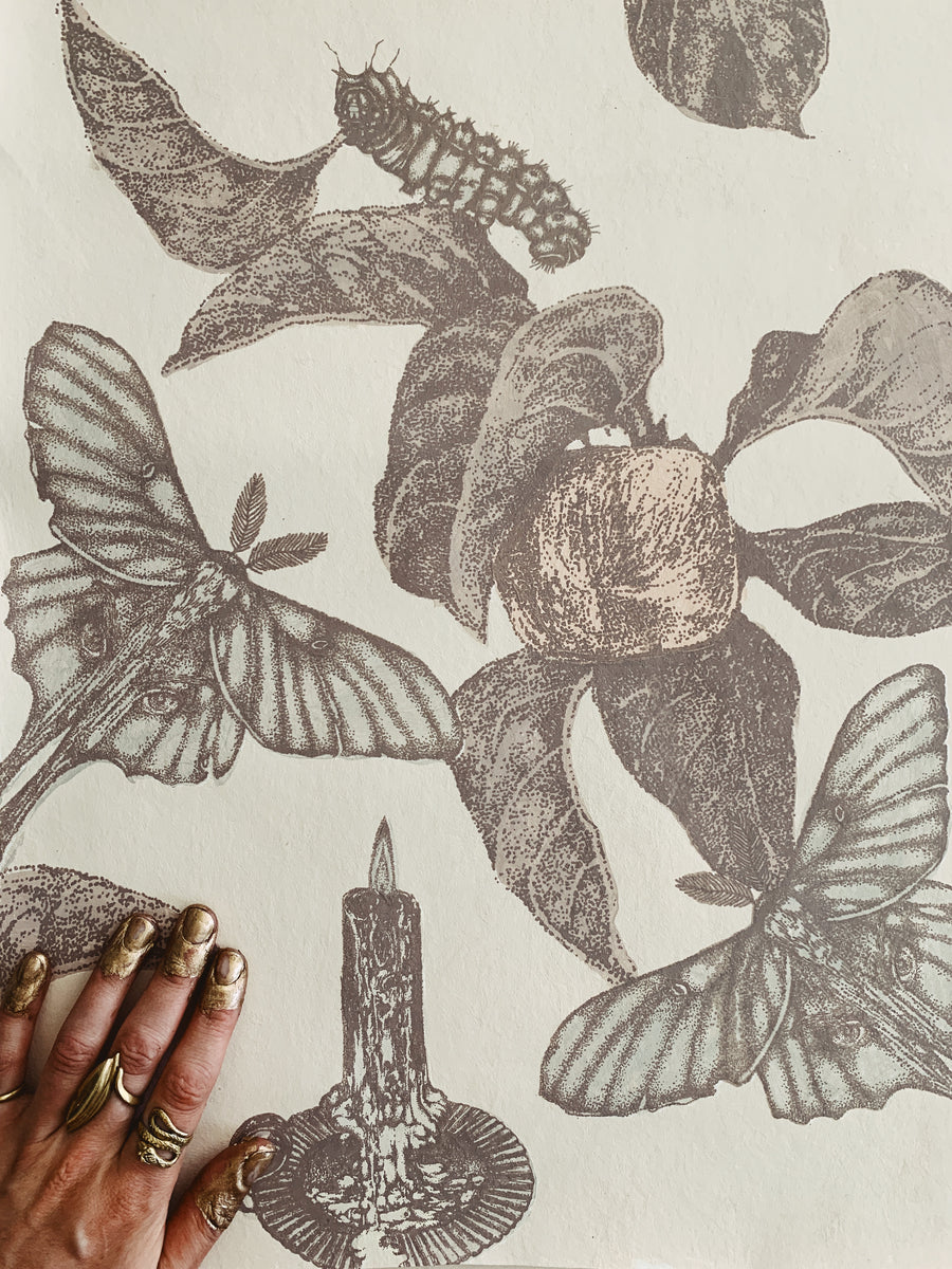 Ladymoth Wallpaper Coagula colourway- SAMPLE – Mezari Atelier